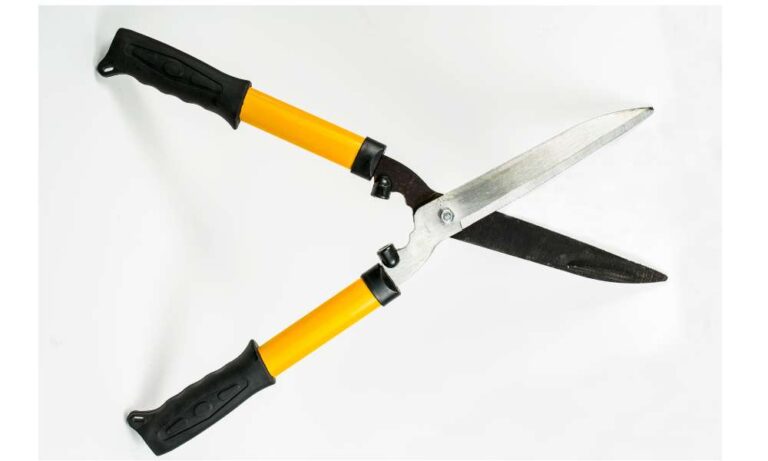 What Is A Kitchen Shears Used For In Cooking - House Arctic